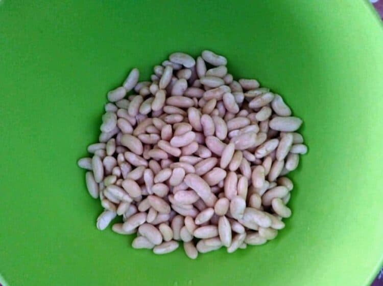Fasolia Recipe (Arabic Bean Stew) - The Odehlicious